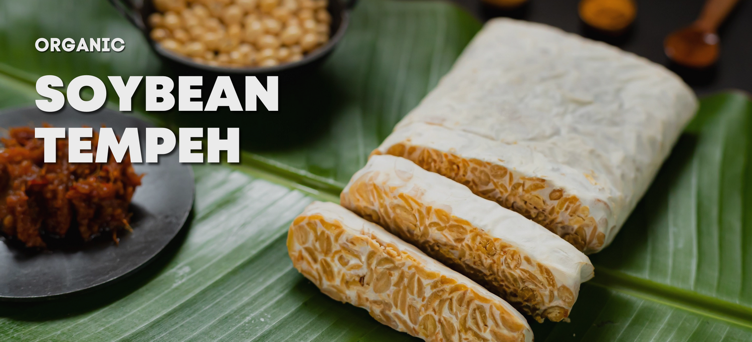 BUY TEMPEH, COTOTN TOFU/TEMPEH CHIPS POPULAR VEGAN/VEGETARIAN ...